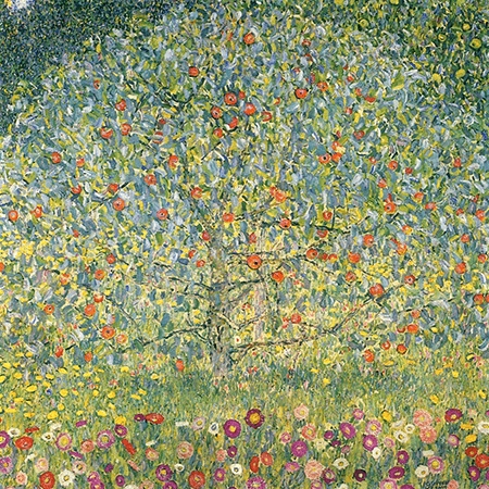 Obraz Apple Tree - Gustav Klimt 50x50 • Cena, Opinie • Obrazki i obrazy ...