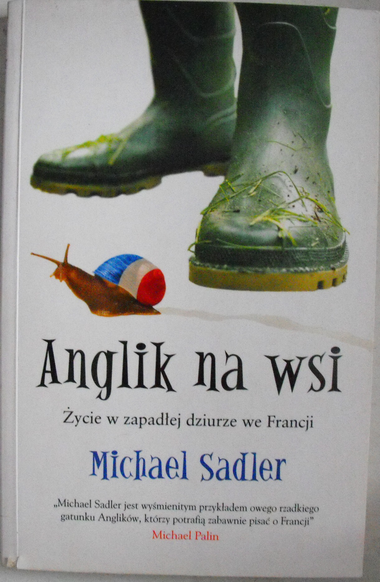 Anglik na wsi Michael Sadler (12540364148) | Książka Allegro