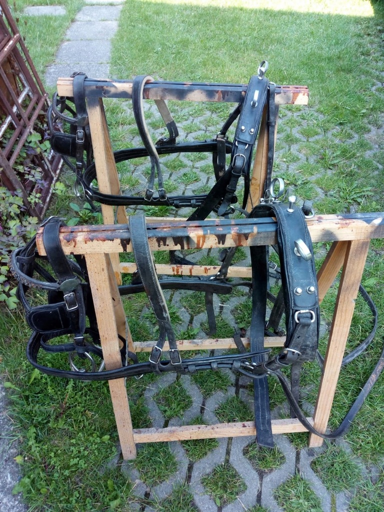 Uprząż dla kuca, wodze, lejce, antyk - 7572187207 - oficjalne archiwum ...